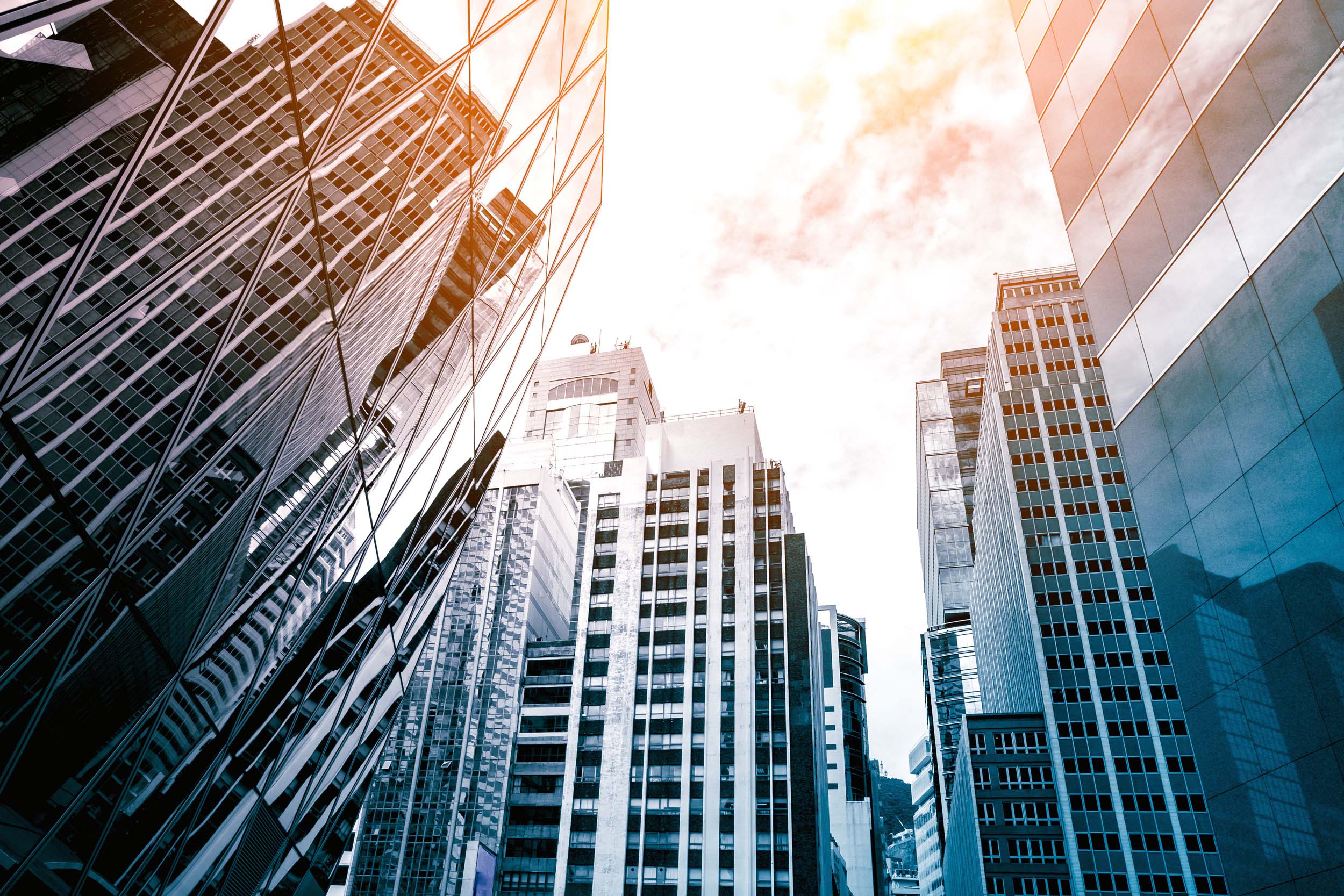 Zenith Management: eerlijk en onafhankelijk advies en begeleiding